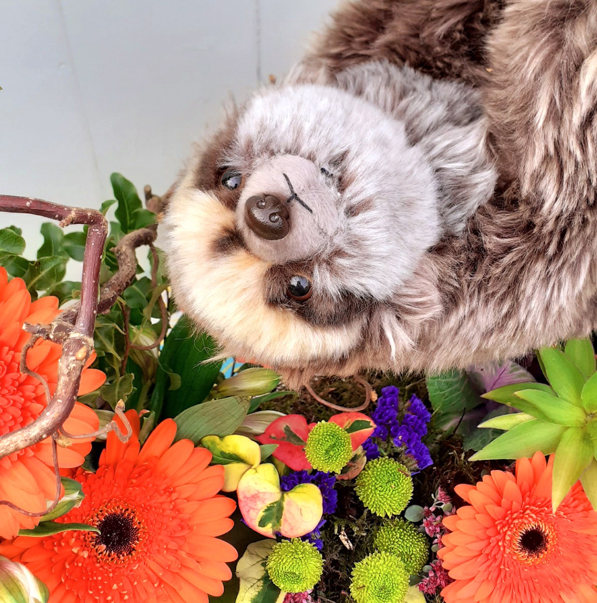 Sloth Arrangements – Danielle Wyatt Flowers